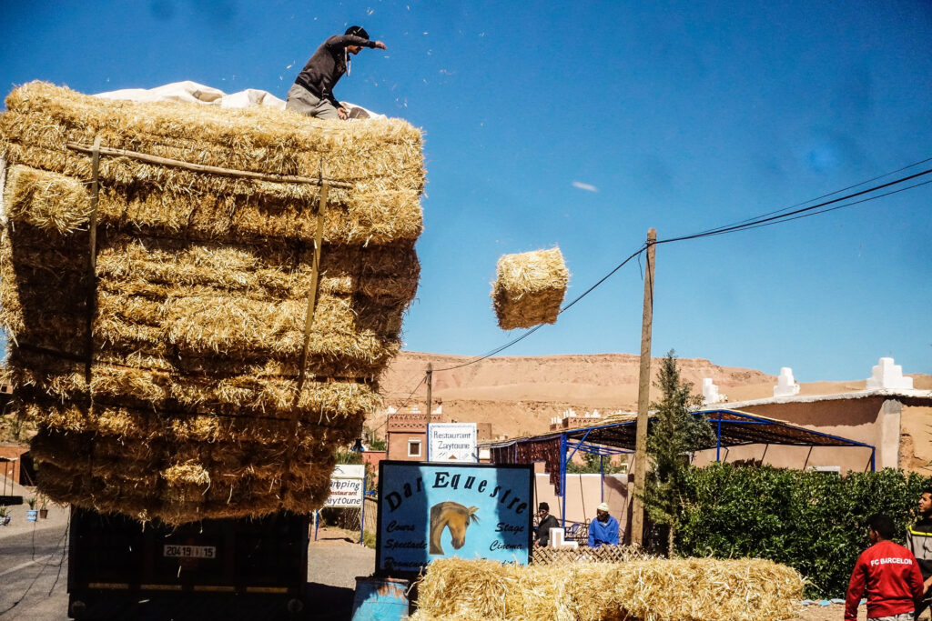 The Work Continues: Ramazzini Days 2025 and the Future of Occupational Health - Confined Space